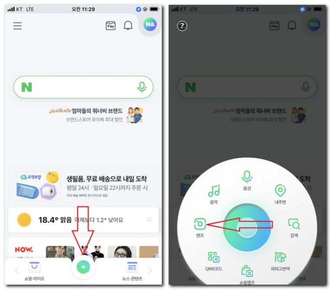 사진 찍어서 네이버 식물검색 하기 팁솔루션